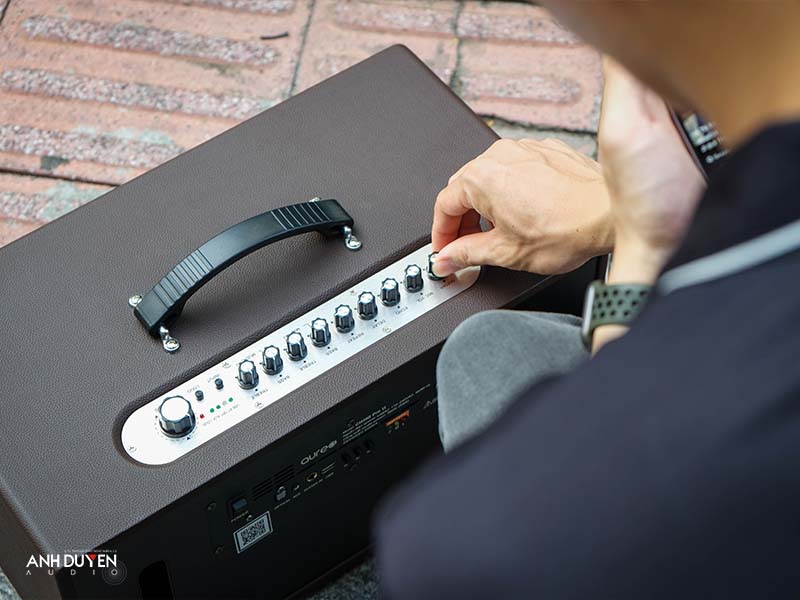 Loa Karaoke Mini Xách Tay Aurec CH390 Pro II - AnhDuyen Audio